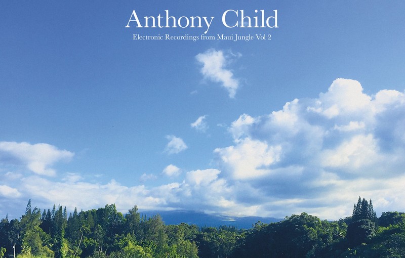 Anthony Child - Electronic Recordings from Maui Jungle Vol. 2 - Hop Blog