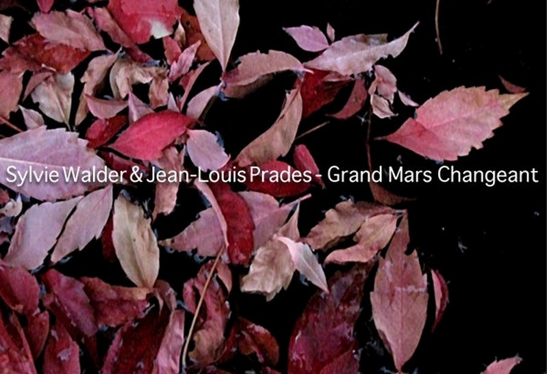 Sylvie Walder & Jean-Louis Prades - Grand Mars Changeant - Hop Blog